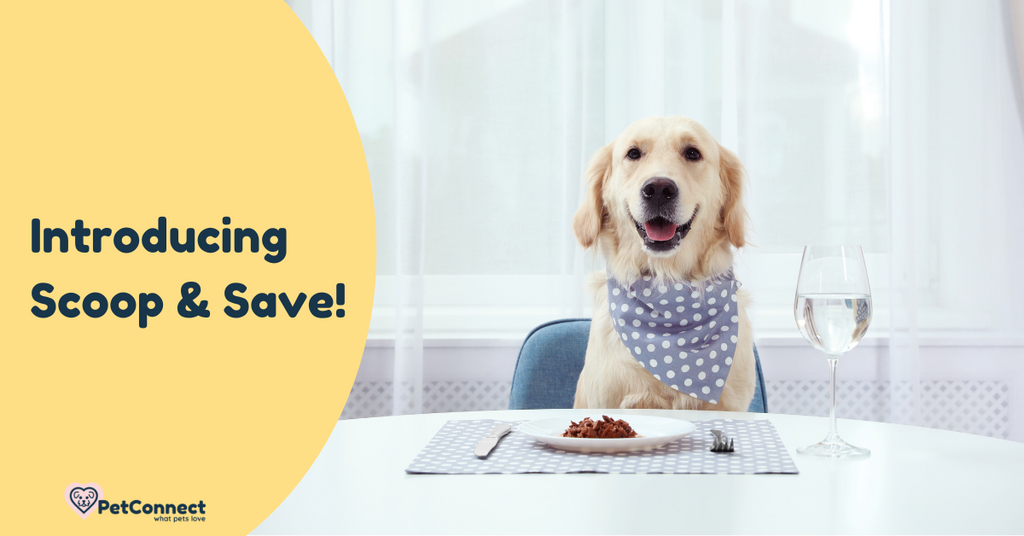 Introducing Scoop & Save for Dogs! – Pet Connect NZ