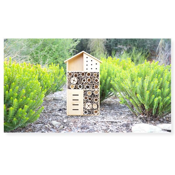 Topflite Bug, Bee, & Butterfly House – Pet Connect NZ