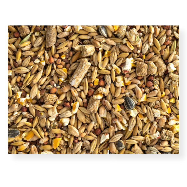 Topflite Rat & Mice Mix 1kg – Pet Connect NZ